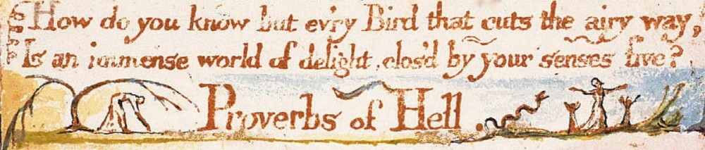 William Blake and the Radical Swedenborgians, by Robert Rix ...